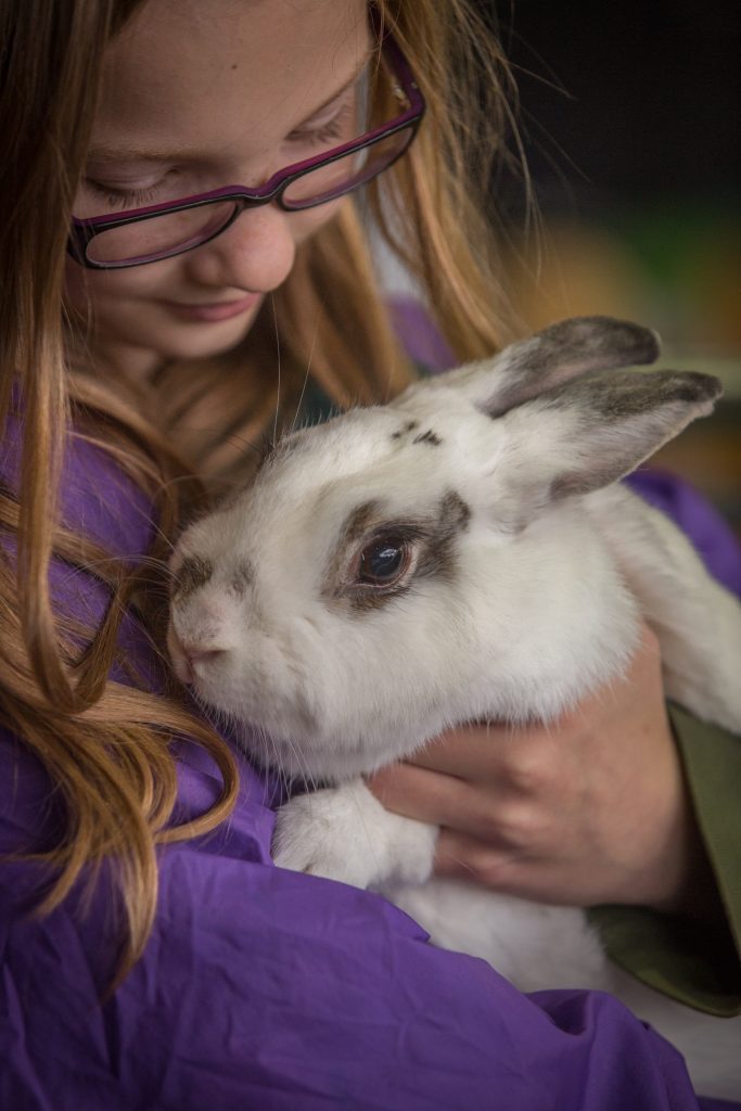 1st Entry Poultry & Rabbit Pick-Up