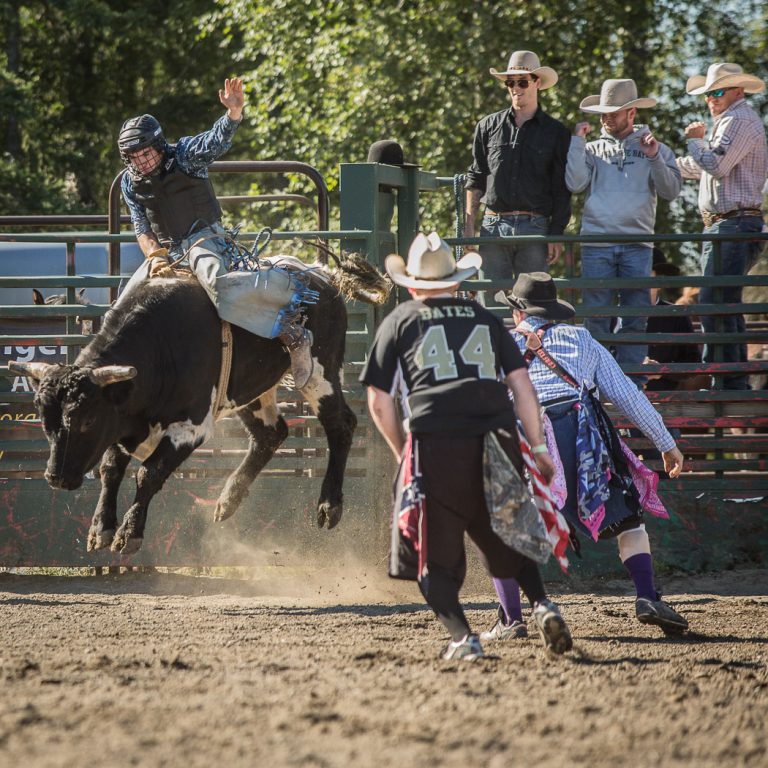 ASF Rodeo, boy riding bull