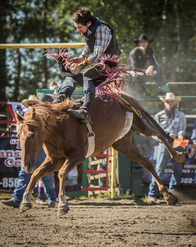 ASF Rodeo, man no longer holding on - Alaska State Fair