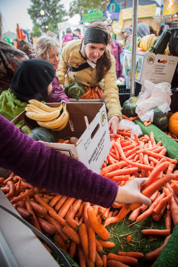 Alaska grown carrots
