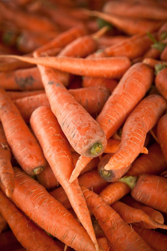 Alaskan Grown Carrots - Alaska State Fair