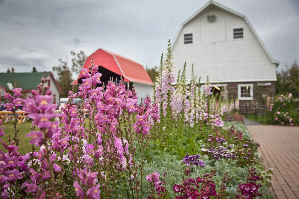 Red Alaska Parks Barn