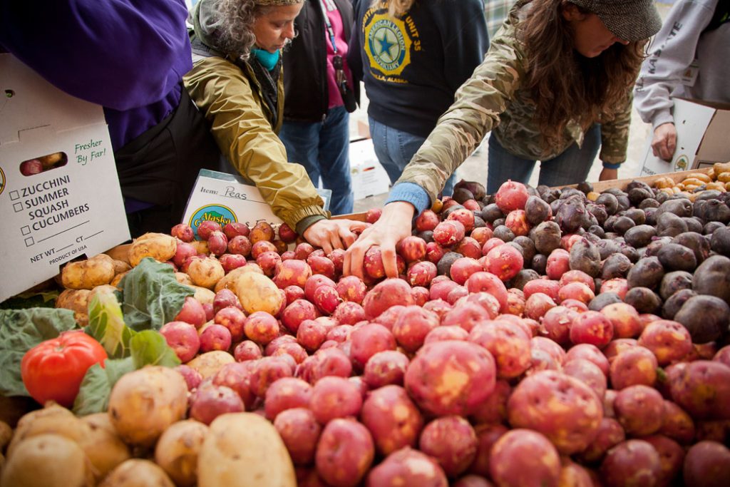 Hands grabbing potatoes vendor 201209034122 - Alaska State Fair