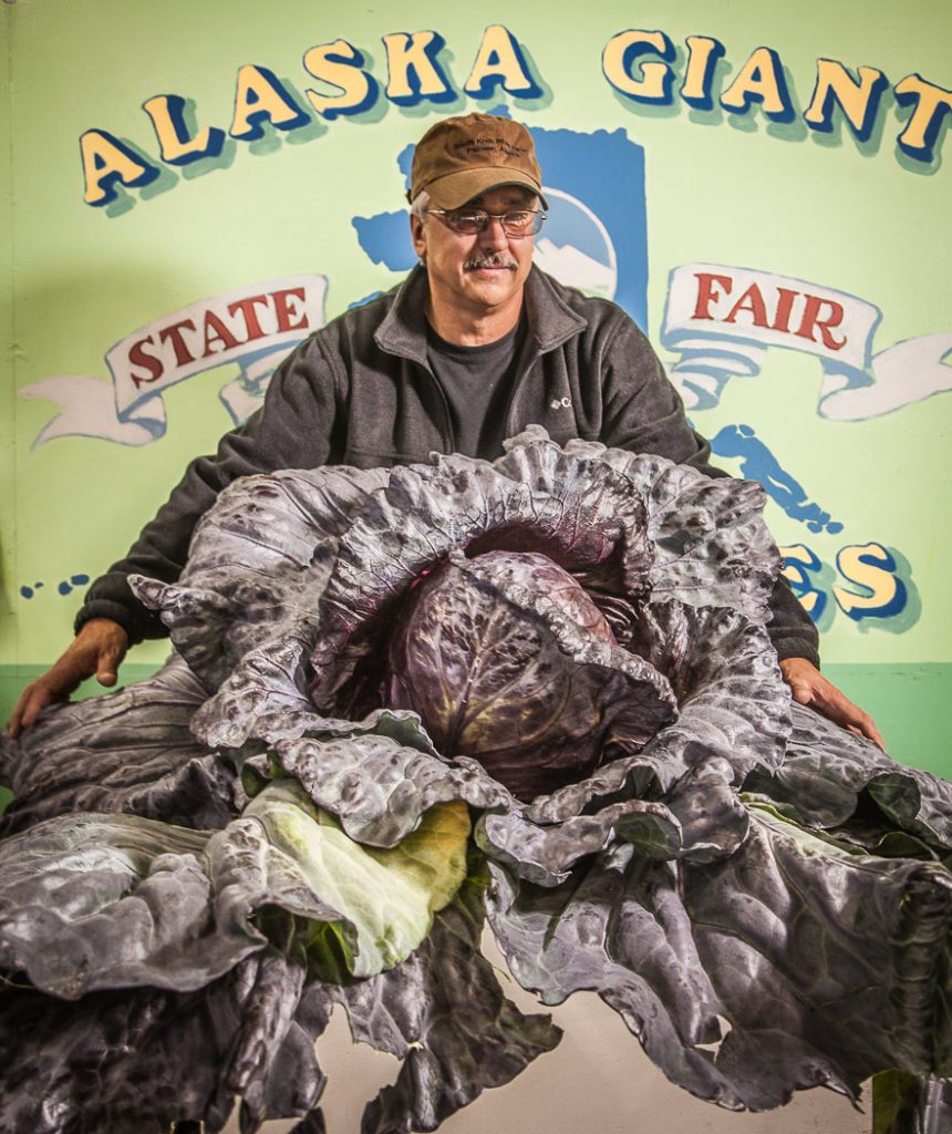Scott Robb with Giant Cabbage