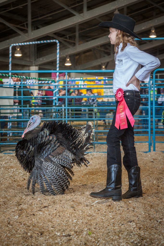 The Alaska State Fair, Palmer, Alaska | Alaska State Fair