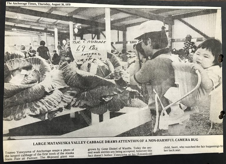 Large-Cabbage - Alaska State Fair