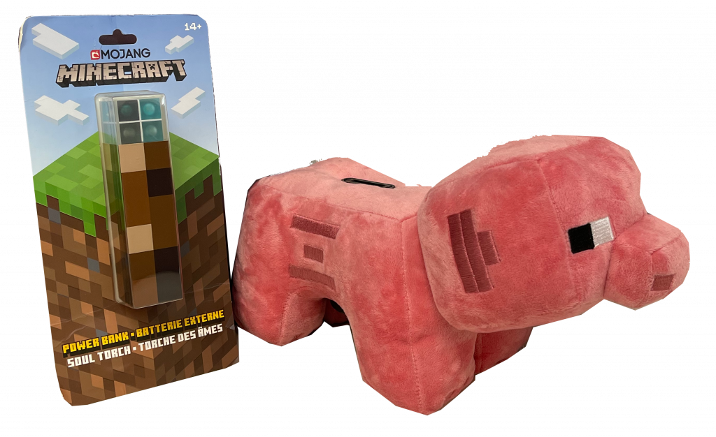 Minecraft prize - Alaska State Fair