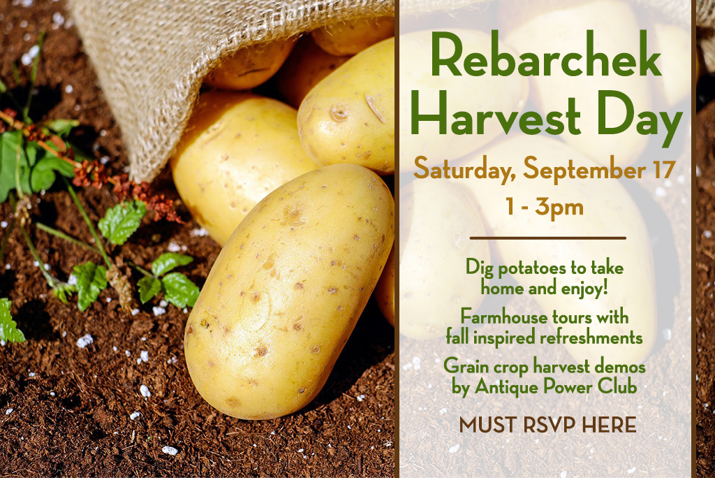 Rebarchek Harvest Day Feature Box