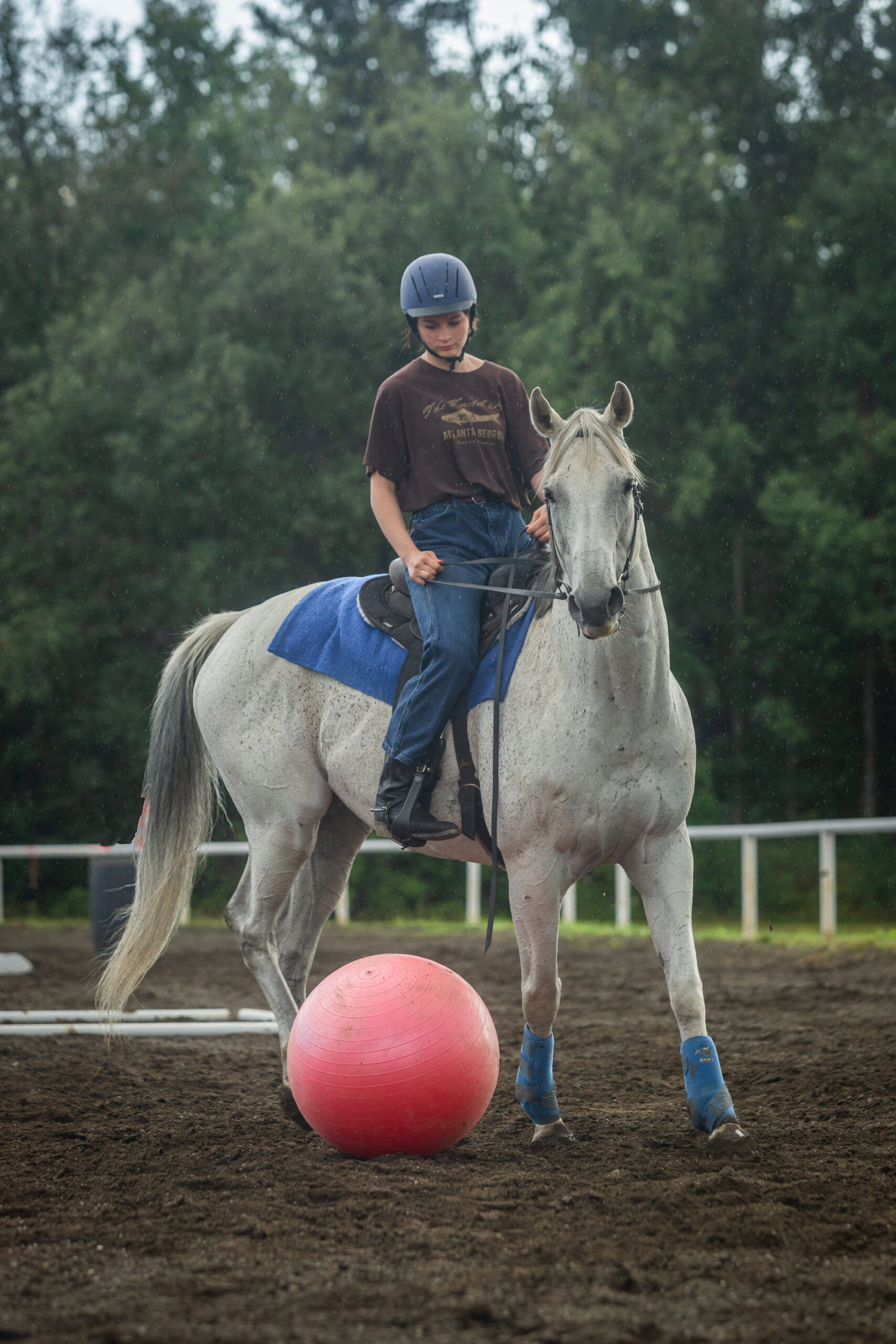 Arena Obstacle Course - Alaska State Fair